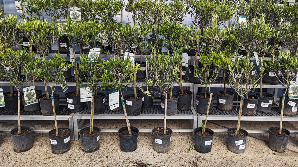 Leval Tree Co. – Trees / Mulch / Soil